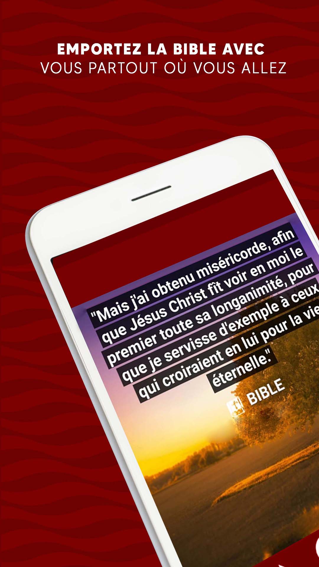 Bible Louis Segond – Biblia de Estudio
